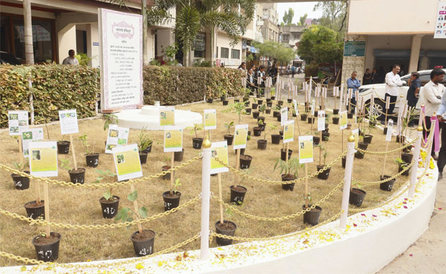 Library of trees set up by students in Latur college