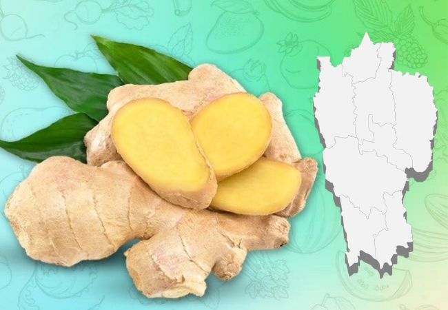 Mizoram to be named 'Ginger Capital of India': Official