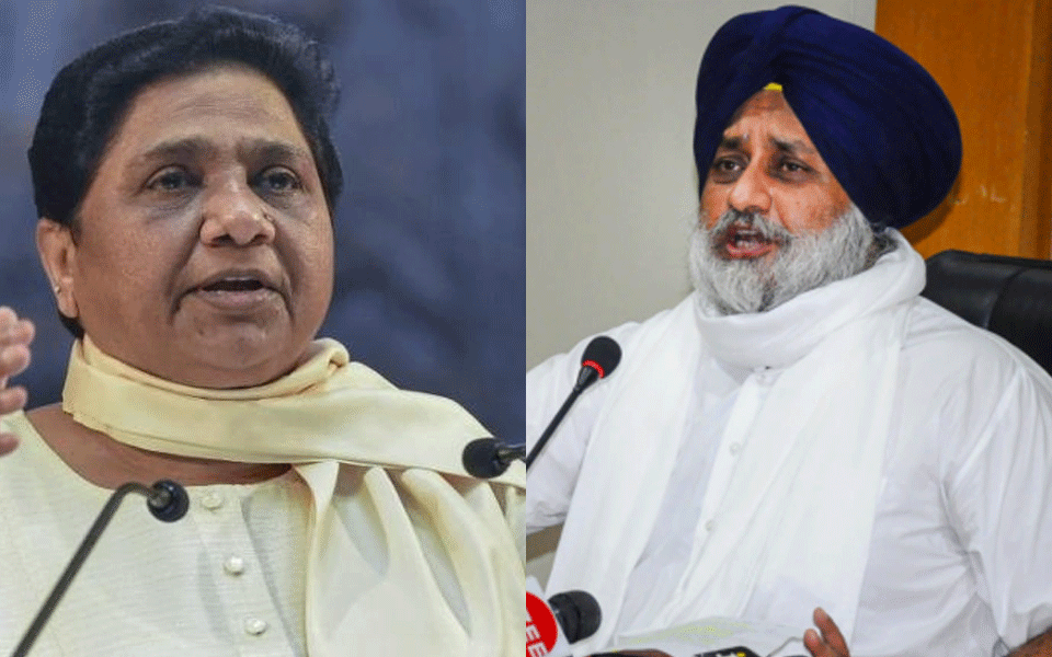 SAD, BSP form alliance for 2022 Punjab Assembly polls SAD, BSP form alliance for 2022 Punjab Assembly polls