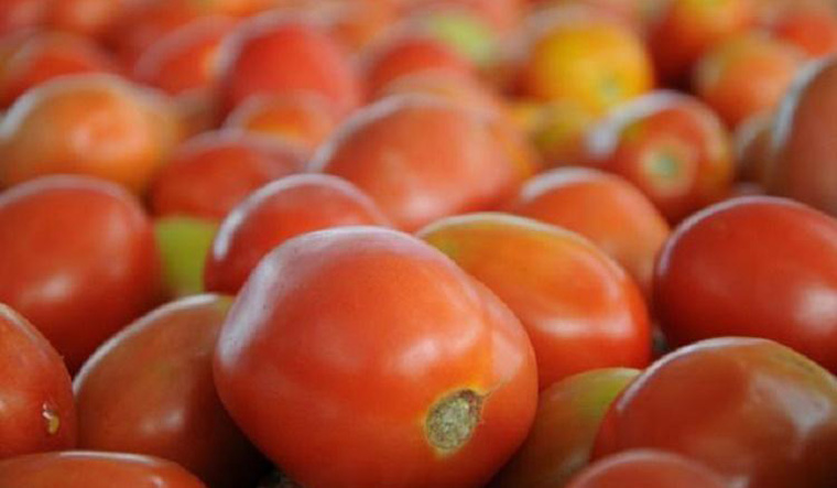 Retail tomato prices at Rs 80/kg in most cities, rise up to Rs 120/kg in south due to rains