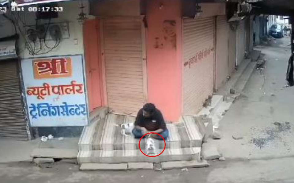 Man brutally kills puppy in MP; CM Chouhan assures strict action